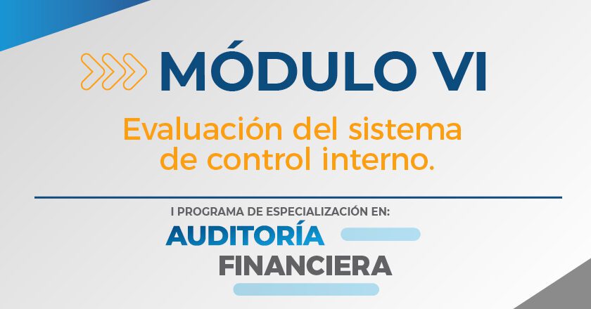 MÓDULO VI: Evaluación del sistema de control interno – Quantum Escuela ...